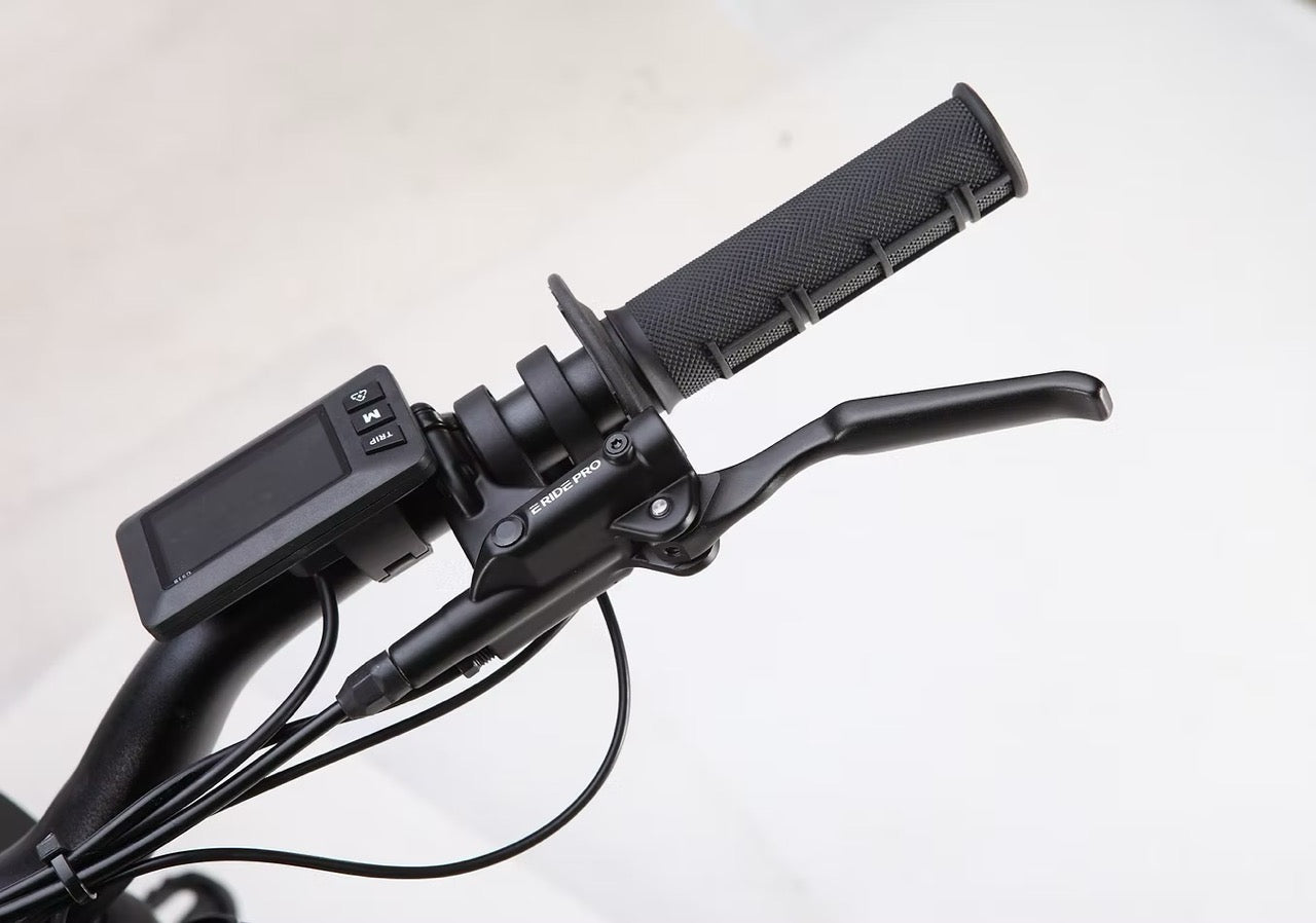 E-RIDE PRO MINI - Beyond PEV